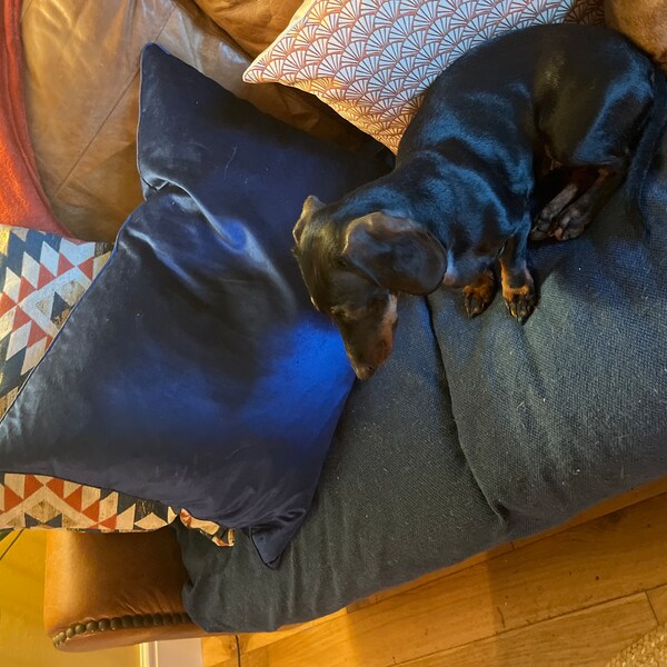 Latch Hook Yarn 25g - Rug Hooking Yarn 160 Strands Pouches - Pre Cut ...