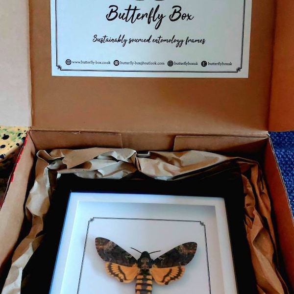 Spotted Sawtooth Butterfly Necklace, Real Butterfly Wing Necklace ...