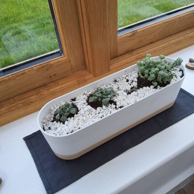 Rounded Cube Pot, Planter, Pot With Feet, Coloured Pot, Indoor Plant ...