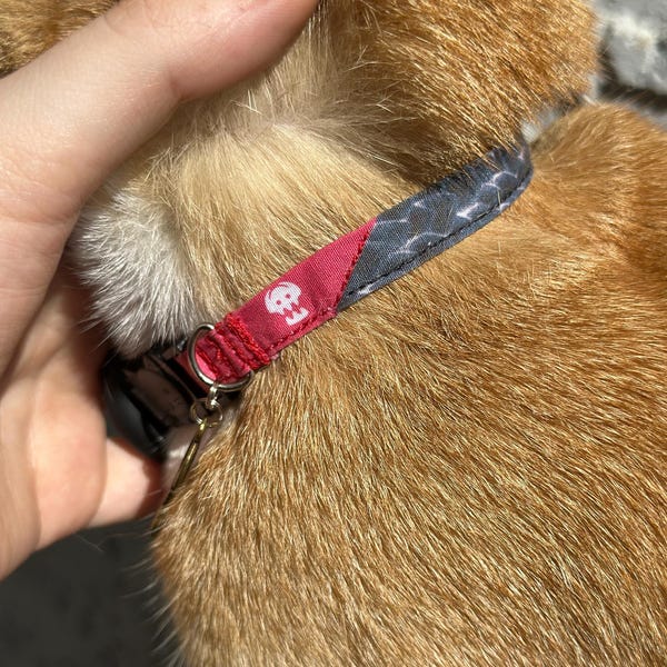 Bat Dog/cat Collar Steampunk Halloween Dog/cat Collar, Goth Green Geek ...