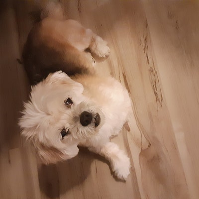 Huldah / Huldah Print / Female Painting / Portrait / Portrait Painting ...