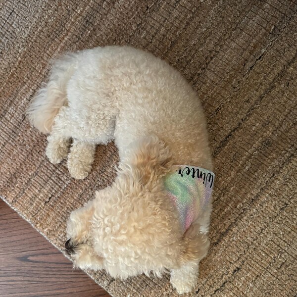 Camping Dog Bandana Camping Dog Scarf Vacation Dog Bandana Summer Dog ...