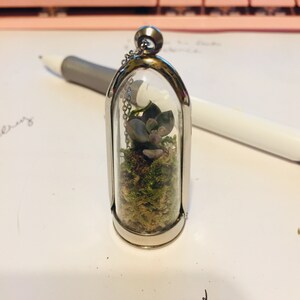 Shadow Box Pendants Terrarium Engraved Necklace Trays Clear | Etsy