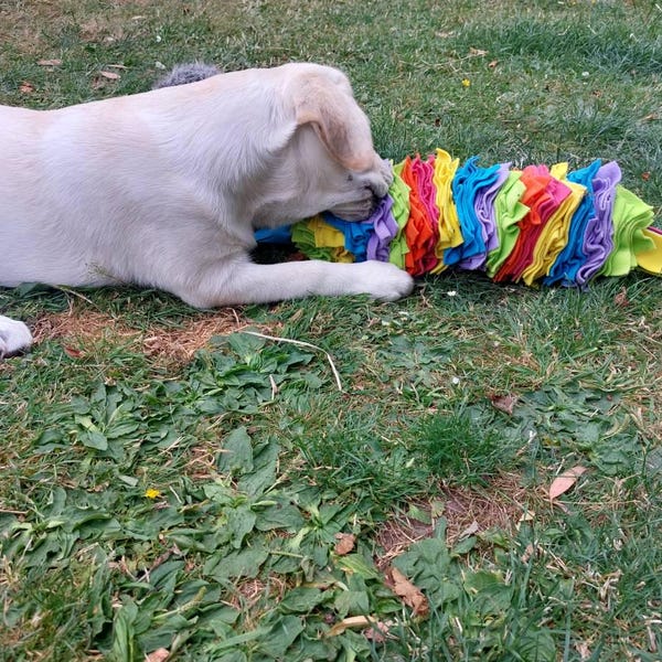 CUSTOM COLOUR Snuffle Roll + Tug Toy Enrichment Dog Toy | Slow Feeder ...