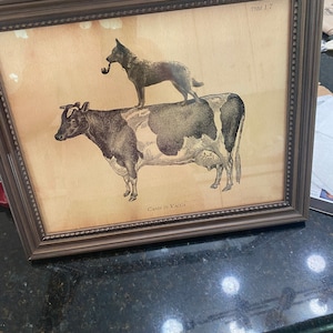 Pug Riding Triceratops Dinosaur Vintage Collage Print Tea | Etsy