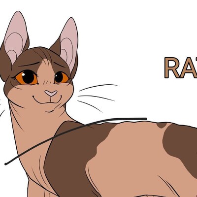 Cat Reference Sheet, Base, Lineart, Warrior Cats, Ocs - Etsy