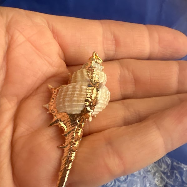 Gold or Silver Natural Murex Turnispina Seashell Pendant, Spiral Shell ...