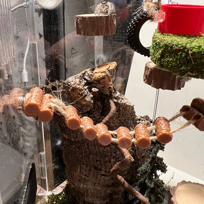 3D Printed Magnetic Spider Platforms Set of 3 Terrarium - Etsy