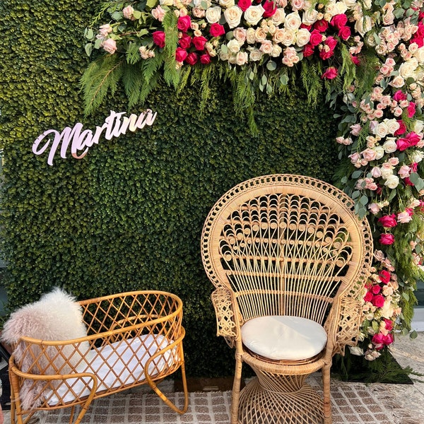 Castelli Chair Designed by Giancarlo Piretti Made in Italy DSC 106 ...