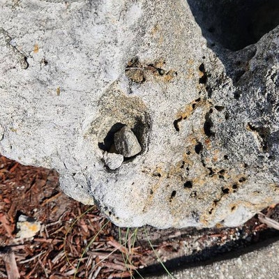 Evil Geocaching Stick Container - Etsy UK