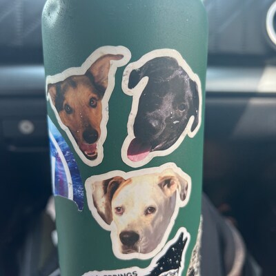 Custom Pet Sticker, Animal Sticker, Personal Sticker, Photo Pet Sticker ...