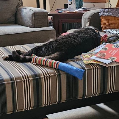 Heavy Duty Kick Sticks, Kick Sticks, Kitty Kickers, Catnip Toys, Cat ...