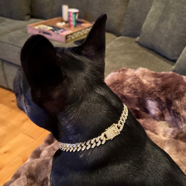 Cuban Link Dog Chain, Rose Gold Custom Pet Chain, Dog Gift, Dog Collar ...