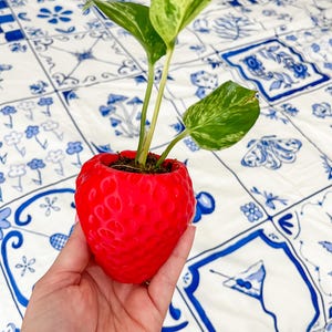 Fire Hydrant Succulent Planter Home Decor Modern Planter 3D Printed ...