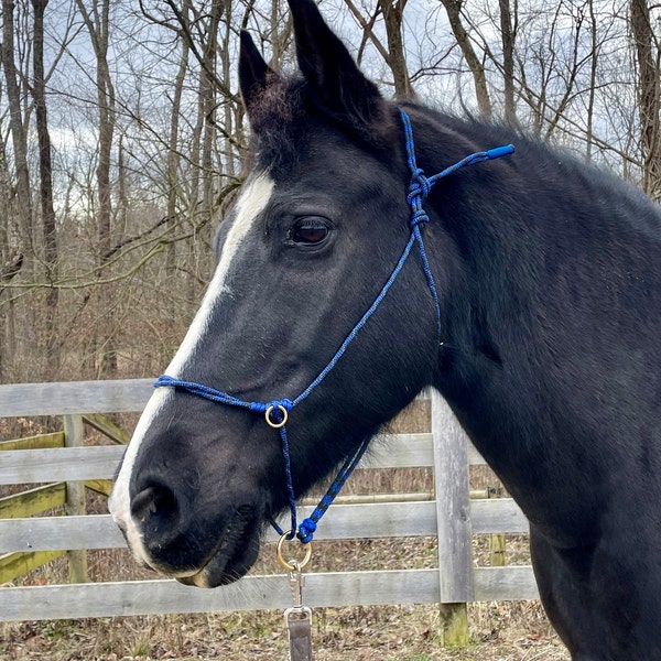 18ft Driving Line Black Horse Rope Lunge Line Gift for Horse Owner ...