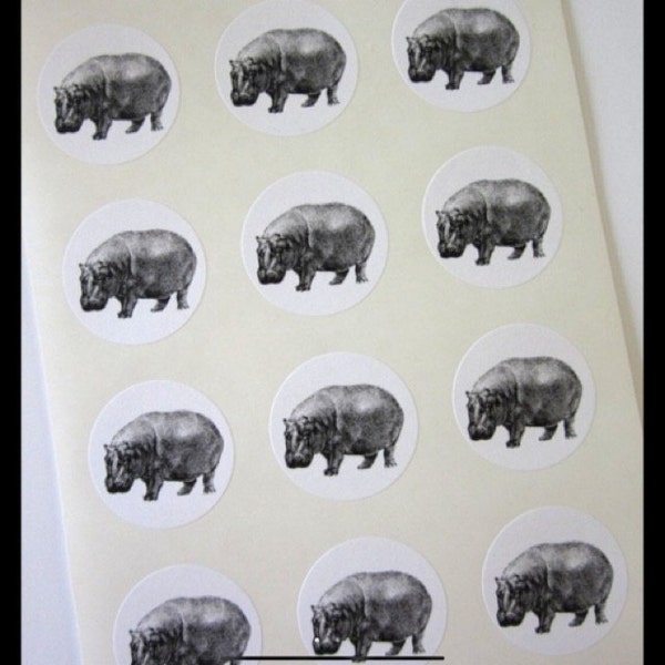 Hippo Hippopotamus Stickers One Inch Round Seals - Etsy