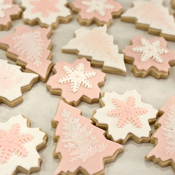 Pot Plant Cookie Cutter, Pot Plant Cookie Stamp, Pot Plant Cookie ...