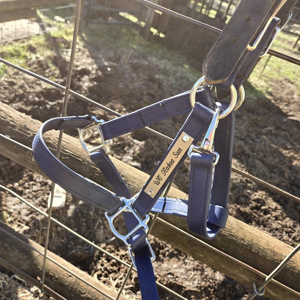 Custom Engraved SILVER Tack, Bridle, Martingale Plate, Horse Tack Plate ...