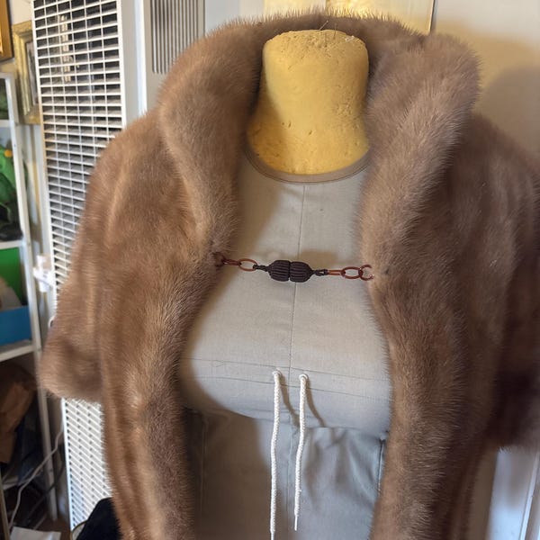 Vintage Blue Fox Pelt Stole With Chin Clip 1940s 1950s 1960s Real ...