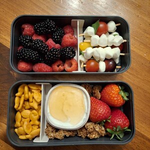 Bento Sauce Container Bento Jar Bento Divider Condiment Cup Bento ...