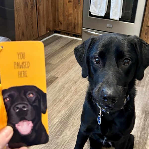 Dog Birthday Card, Bully Card, American Bully Birthday Card, American ...