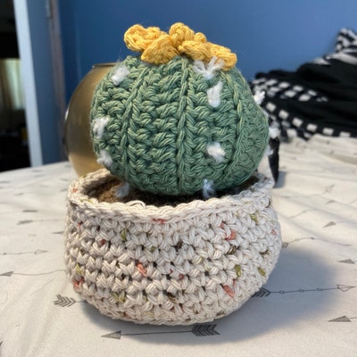 Barrel Cactus Crochet Pattern - Etsy