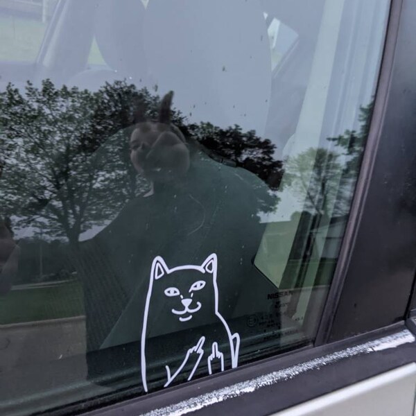 Cat Middle Finger Vinyl Decal, Car Decal, Laptop Decal, Funny Cat ...