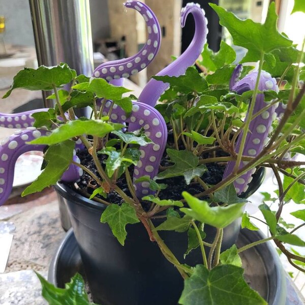 House Plant Accessories Decor - Set of 8 Sea Monster Tentacles - Etsy House Plant Accessories Decor - Set of 8 Sea Monster Tentacles - Etsy