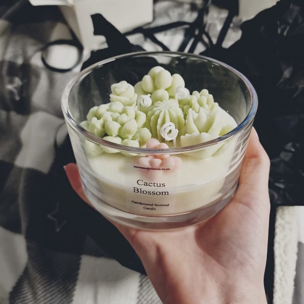 Cacti and Succulents Terrarium Candle Unique Candle Handmade Soy Wax ...