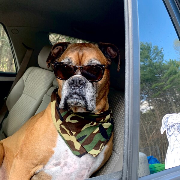 Axel the Boxer - Boxer Decal Sticker, Boxer Lover, Gifts for Dog Owner ...