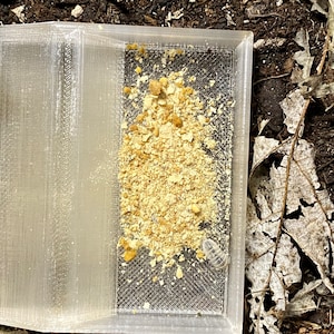 Isopod Bin Label Flair Armadillidums - Etsy