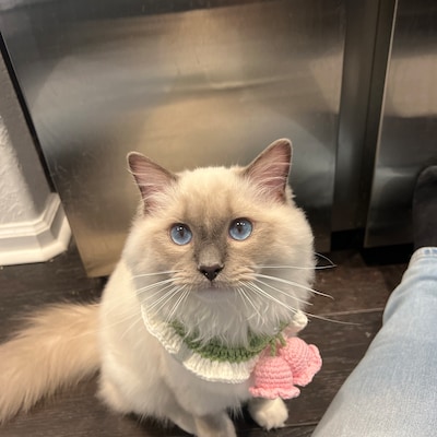 Handmade Fish Cat Collar Knit Star Cat Collar Tie up Pet Collar Crochet ...