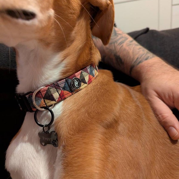 Duck Egg Blue Tweed Dog Collar, Matching Lead Available - Etsy