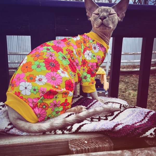 Sphynx Cat Clothes, Clothes, Long Sleeves Sphynx Cat Jumper, Sphynx ...