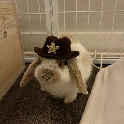 Cowboy Hat for Pet Bunny Rabbit and Other Small Pets - Etsy