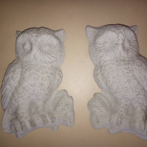 Resin Vampire Fangs Flexible Plastic Mold - Etsy