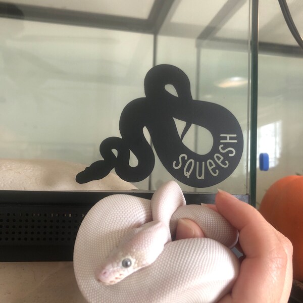 Customizable Name Ball Python Snake Vinyl Decal (READ DESCRIPTION) - Etsy