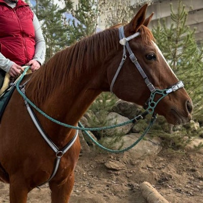 Yacht Rope Sport Mecate Reins W Poppers Use With Slobber Straps Snaffle ...