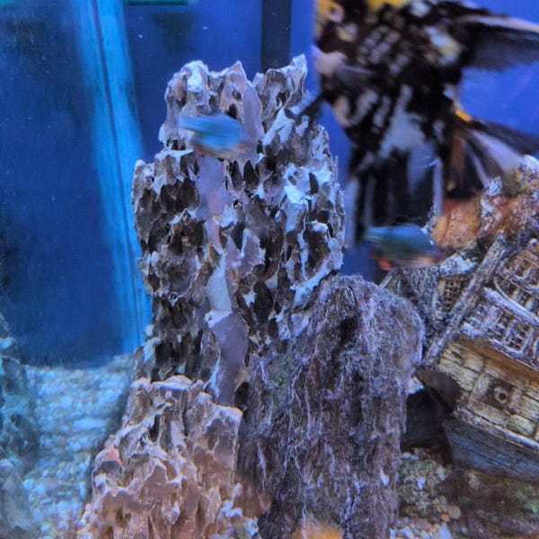 2-4 Gallon Nano Aquascape Decor SOUL CANYON Aquarium Dragon Rocks ...