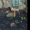 NO MULCH Sign, Garden Marker, Outdoor Sign, Yard Art, Warning Marker ...