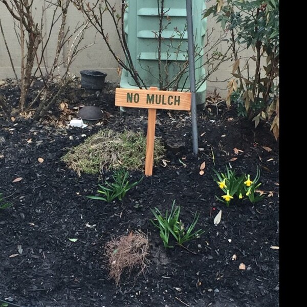 NO MULCH Sign, Garden Marker, Outdoor Sign, Yard Art, Warning Marker ...