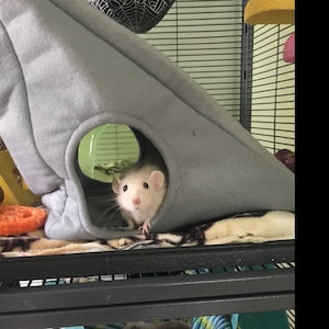 Small Animal Cage Ramp Cover Tent, Critter & Ferret Nation, Feisty ...