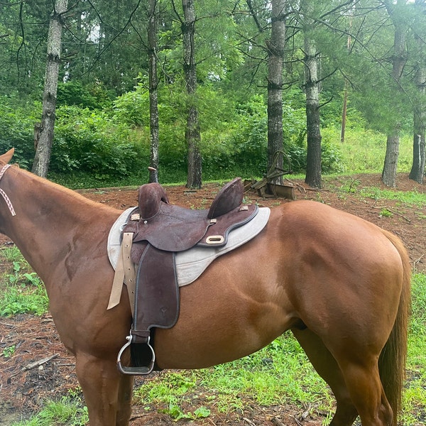 Saddleright Special Deluxe Square Back Saddle Pad - Etsy