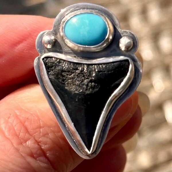 Natural Turquoise & Fossilized Shark Tooth Sterling Silver Ring // One ...