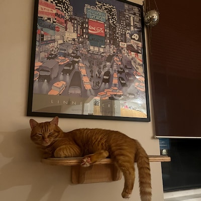 VHS Floating Shelf Wall Mount VHS Display Stand VHS Collection Display ...