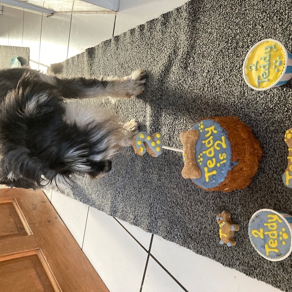 Dog Birthday Boy Cake and Pupcakes - Etsy UK