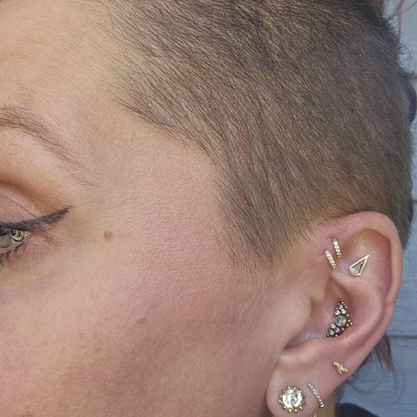 Triple Stack Conch Clicker, Gem Smooth Bead, G23 Titanium Conch, Gold Conch Hoop, Conch Earrings ...