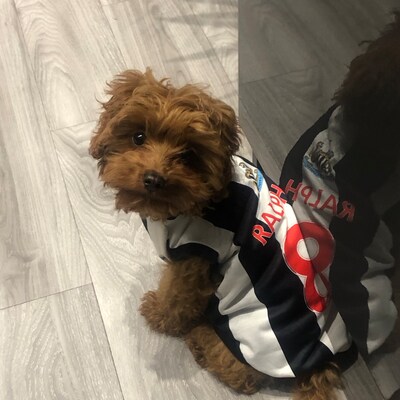 Barcelona Personalised Pet Tank Top FC 23/24 With Original FC Logo dog ...