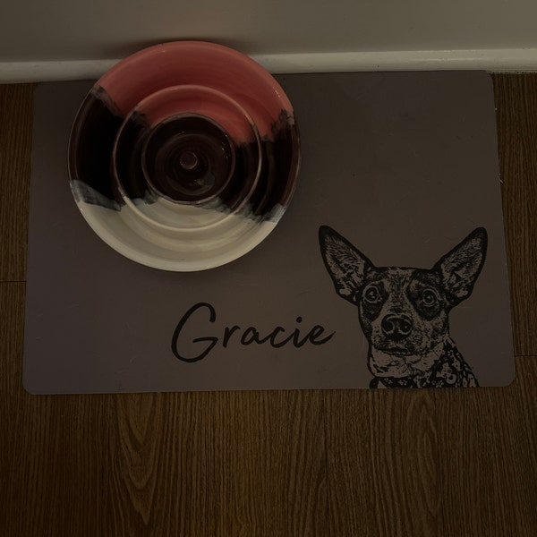 Personalized Dog Mats Using Pet Photo + Name Personalized Dog Food Mat ...