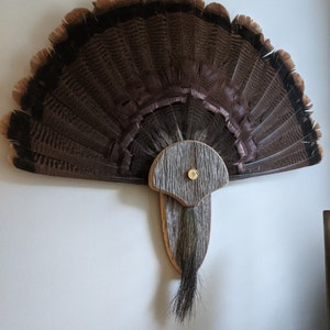Barn Wood Multi Beard Turkey Fan/ Plaque | Etsy
